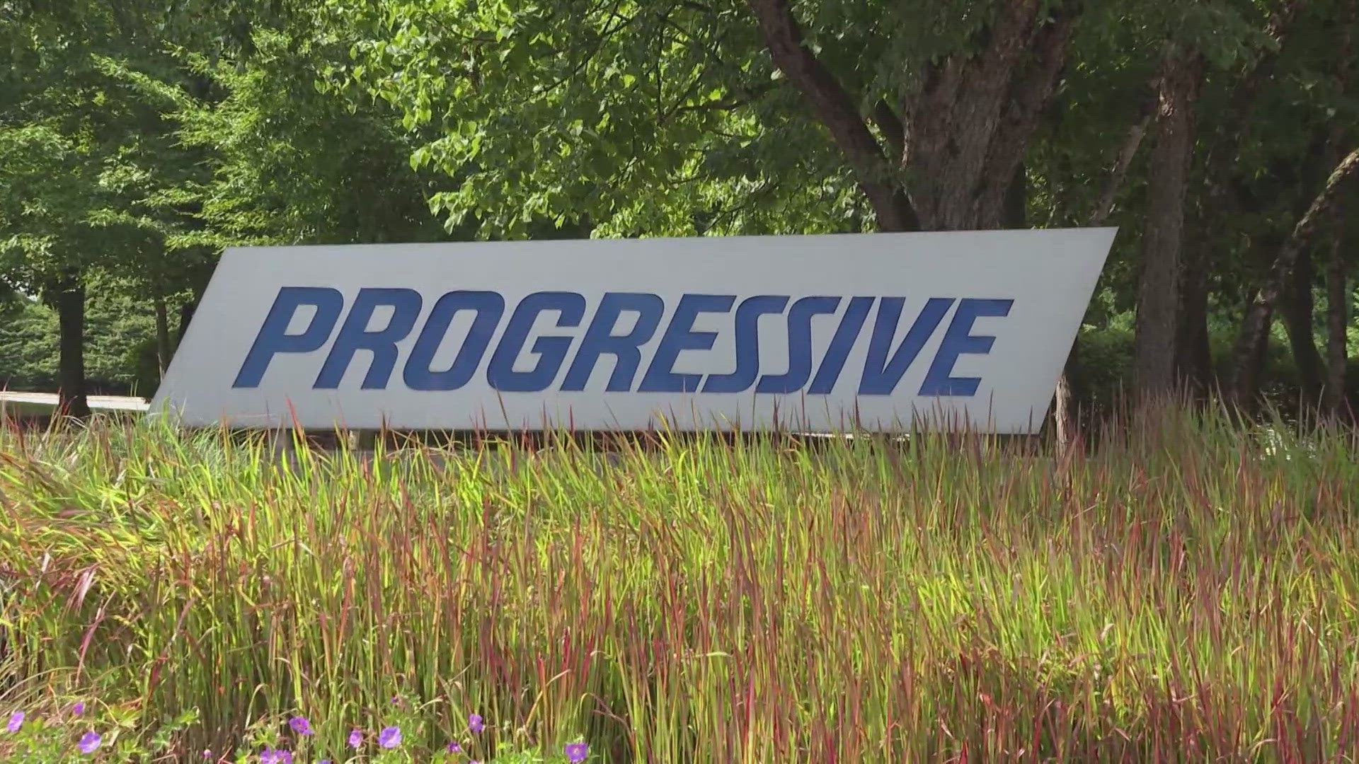 Progressive Insurance to hire over 12,000 new employees in 2025 | wkyc.com