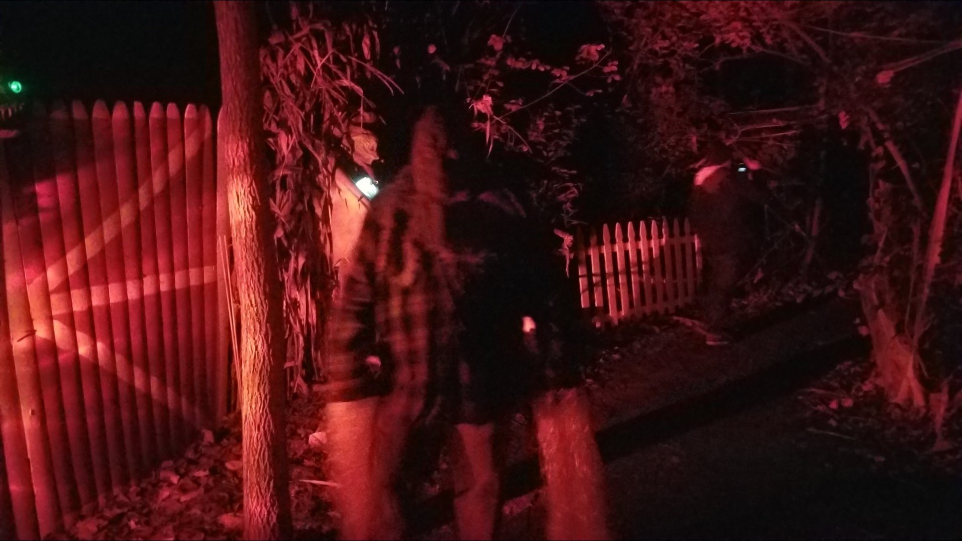 PHOTOS | Nightmare in the Wilderness haunted attraction | wkyc.com