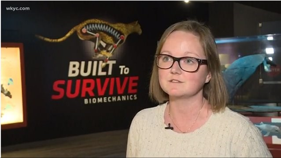 Girls in STEM | New exhibit at Cleveland's Natural History Museum ...