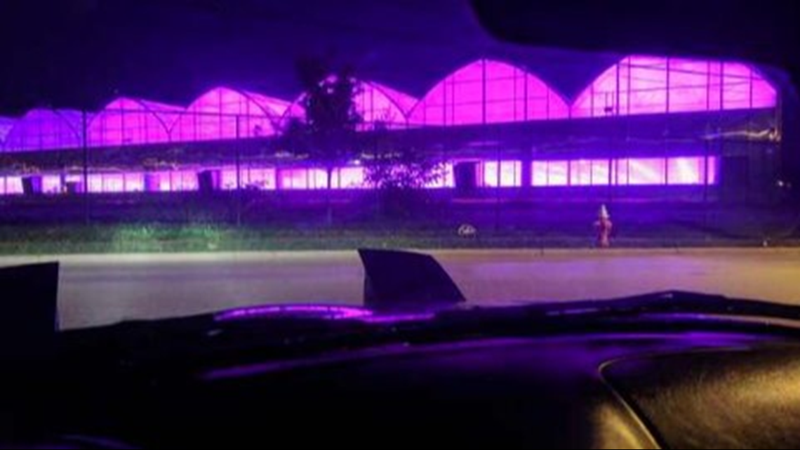 Purple rain in the skies over Cleveland? The truth behind the purple ...
