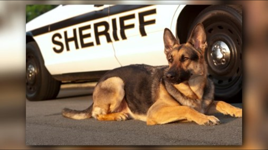 State patrol opens statewide K-9 training facility | wkyc.com