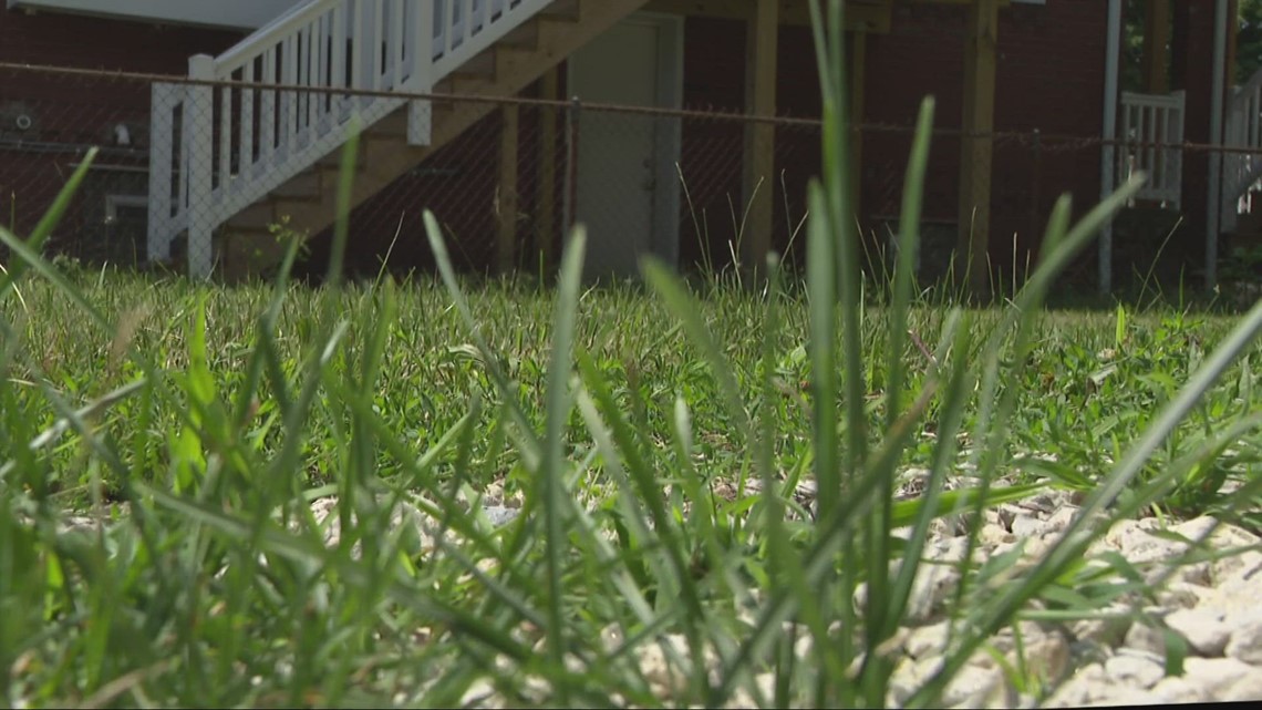 Akron Mow to Own program sees surge in interest | wkyc.com