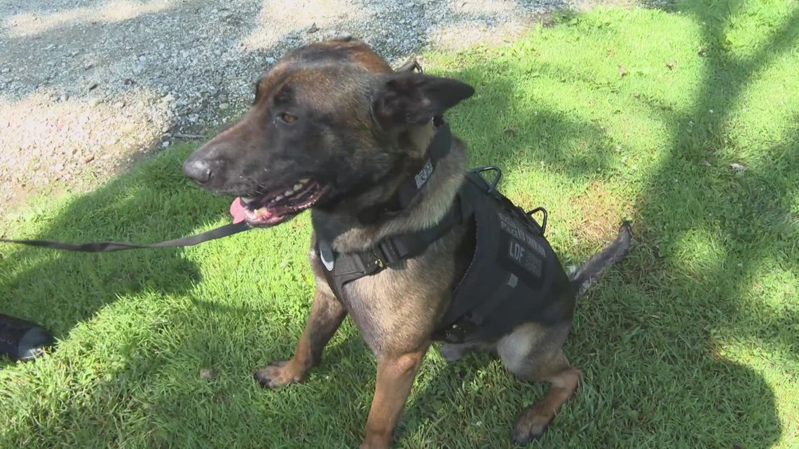 Euclid's new K-9 honors fallen Officer Jacob Derbin | wkyc.com