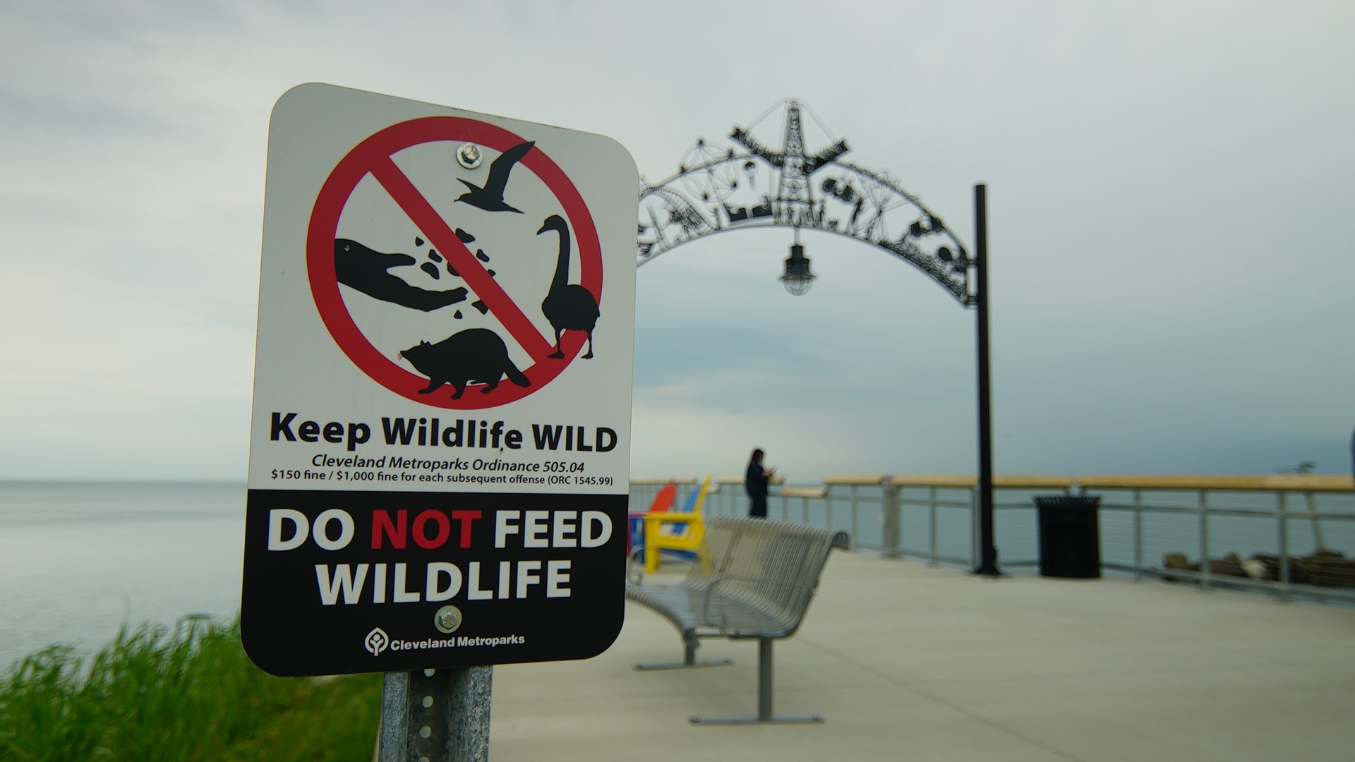 PHOTOS | Euclid Beach Pier unveiled at the historic Euclid Beach Park ...