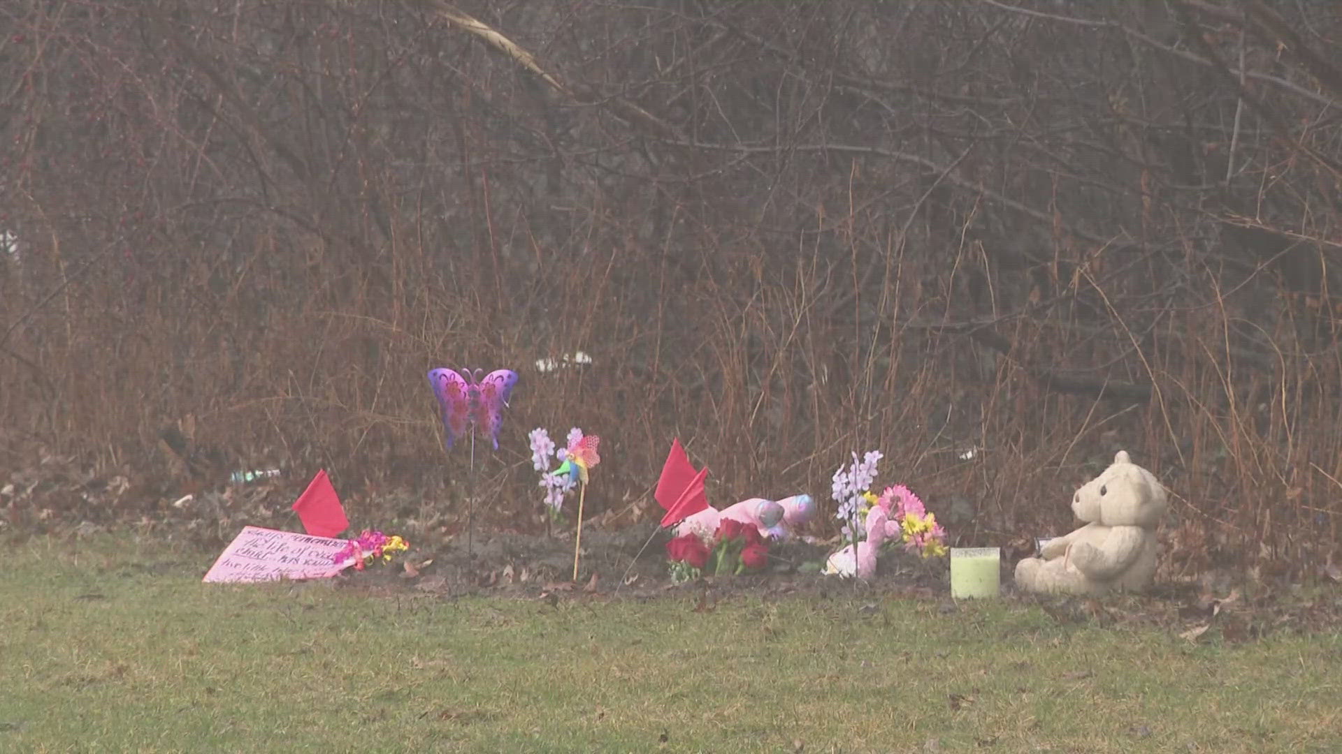 Aliyah Henderson to face judge on charges of aggravated murder in ...