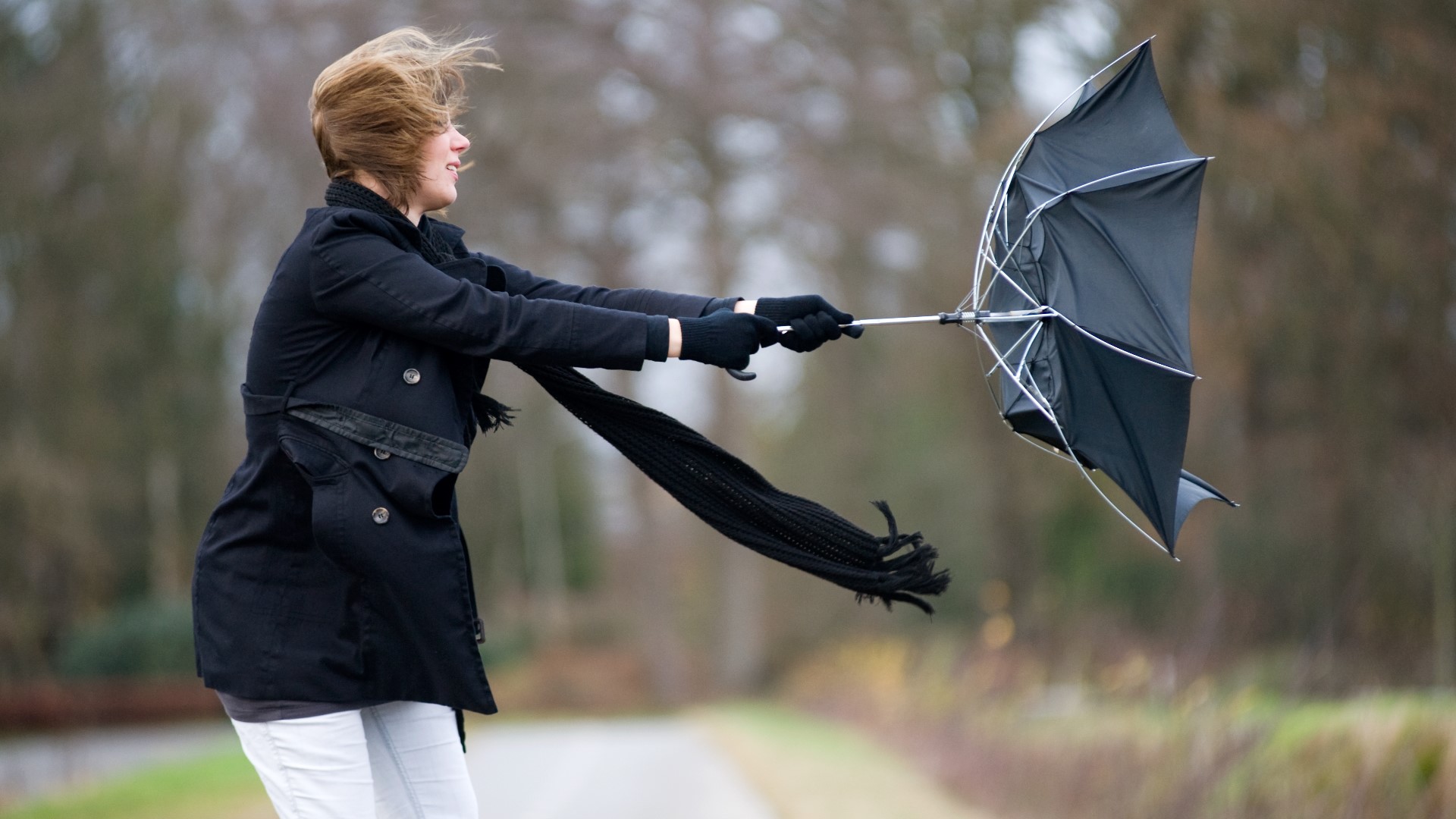 Windy day ahead with gusts up to 50 mph possible: See which Northeast ...