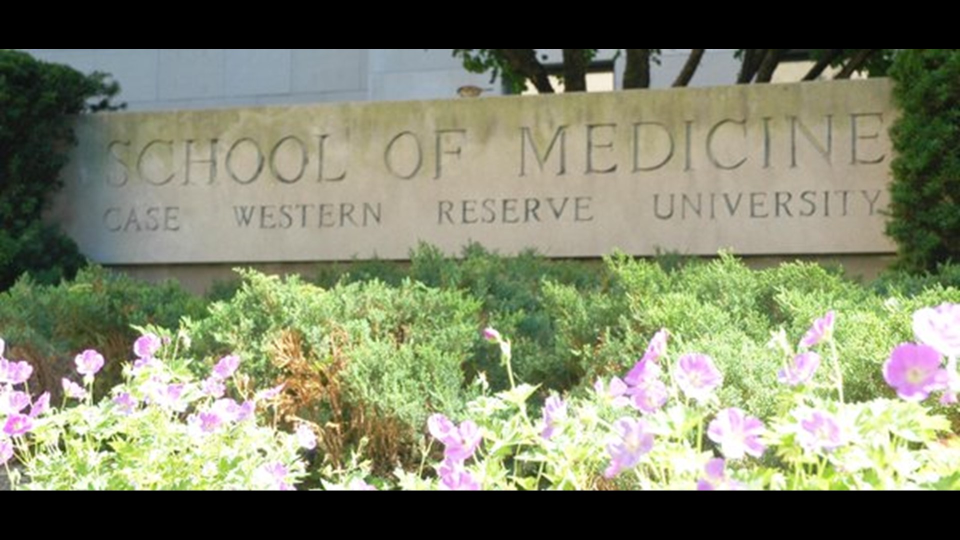CWRU School of Medicine ranked #1 in Ohio | wkyc.com