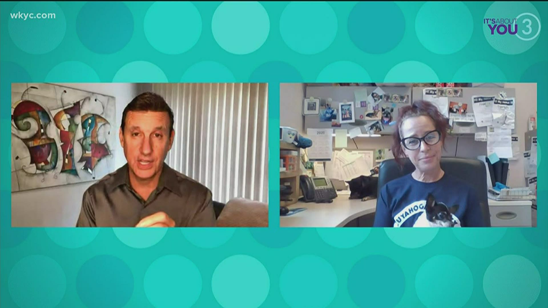 Jen Huettich - Helping Man's Best Friend | wkyc.com