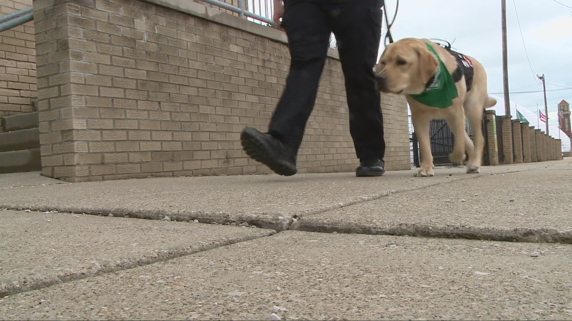 Cleveland State University Police Department's therapy dogs making an ...