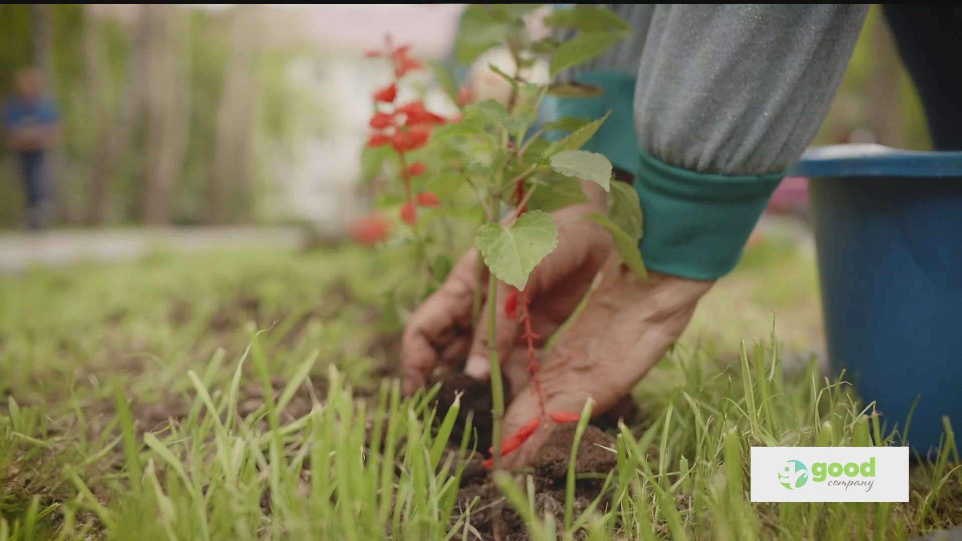 Tips to Keep Your Skin Safe Outside! | wkyc.com