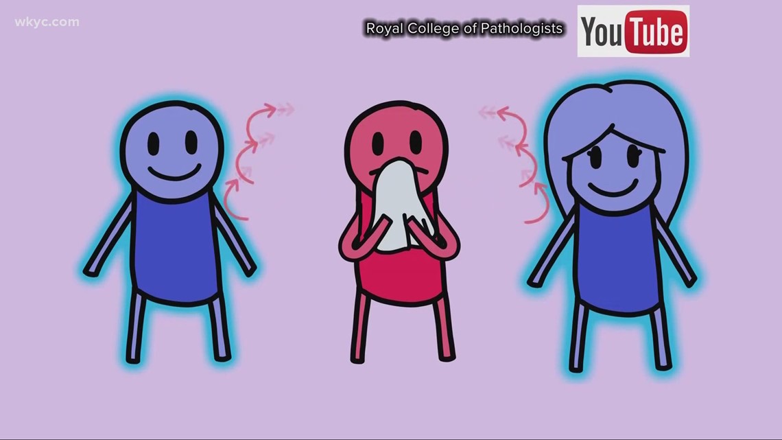 Explaining herd immunity and why scientists are debating it | wkyc.com