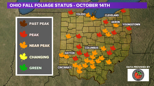 Fall Foliage | Check the leaf color across Ohio 2020 | wkyc.com