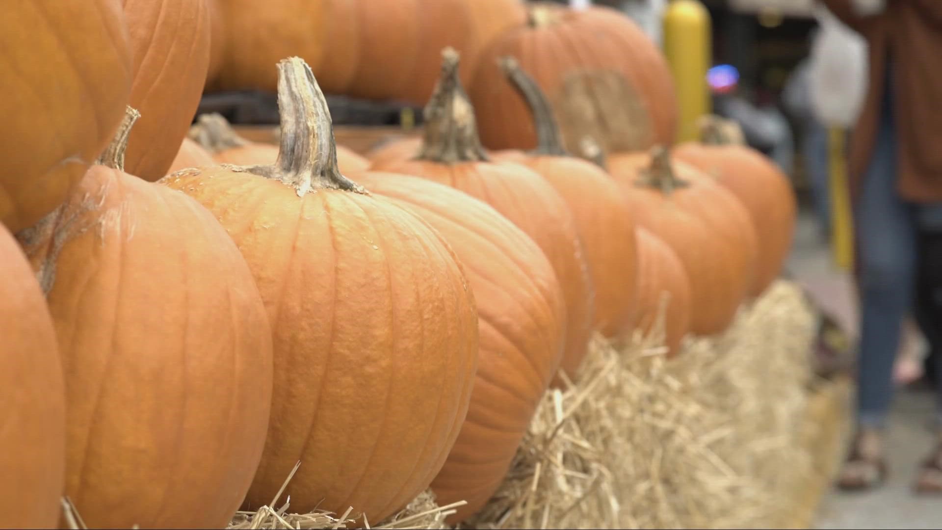 How much money do people spend on pumpkin flavored items every year ...