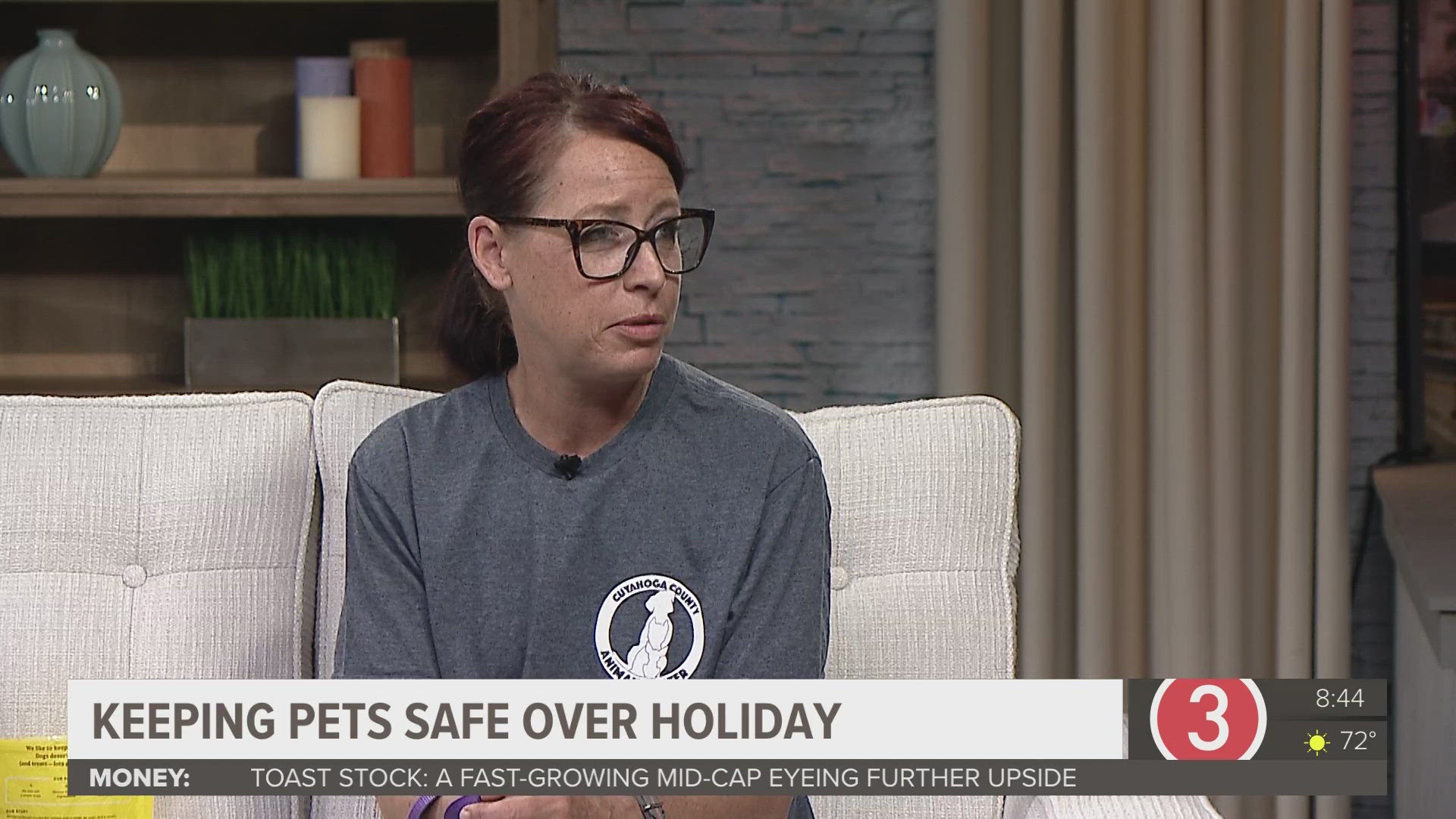 2-legged Ohio dog wins contest to become next Cadbury Bunny | wkyc.com