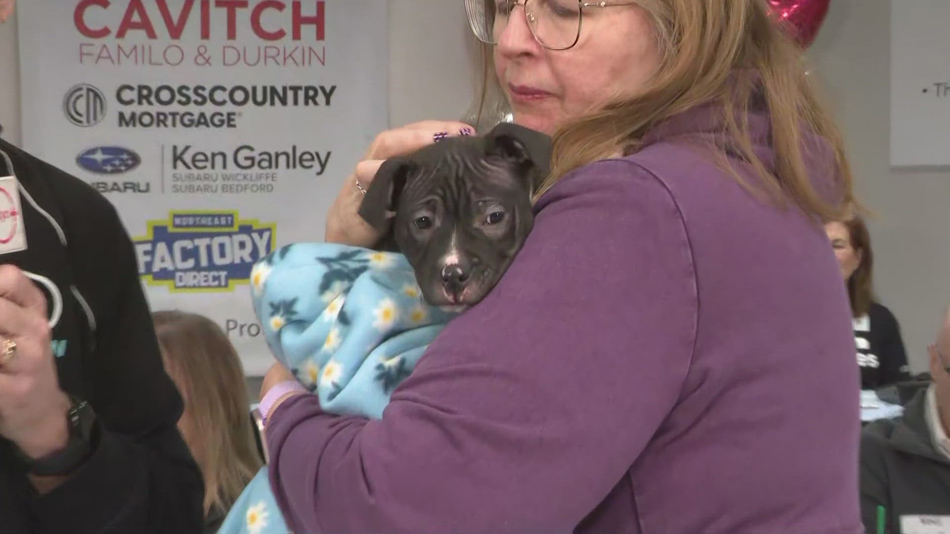 2026 Cleveland Animal Protective League Fur-Get-Me-Not Telethon: How ...
