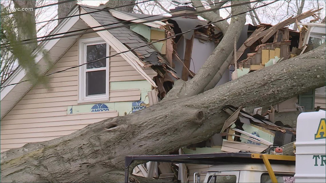 Tree crashes through roof of North Olmsted home amid high winds | wkyc.com