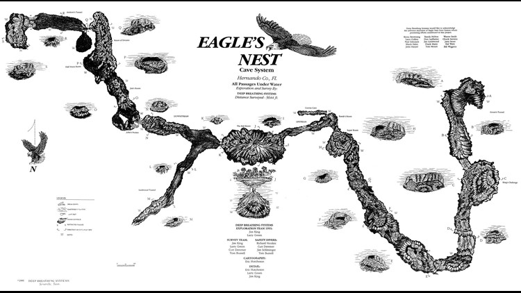 Beautiful but deadly: Divers fight to keep Florida's underwater "Mt. Everest" open | wkyc.com