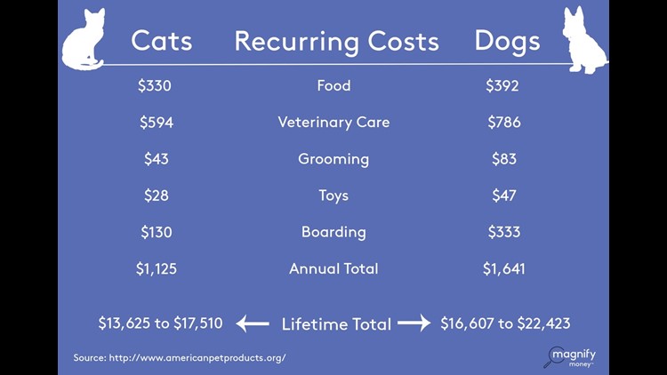 Cats vs. Dogs - Which pet is more affordable? | wkyc.com