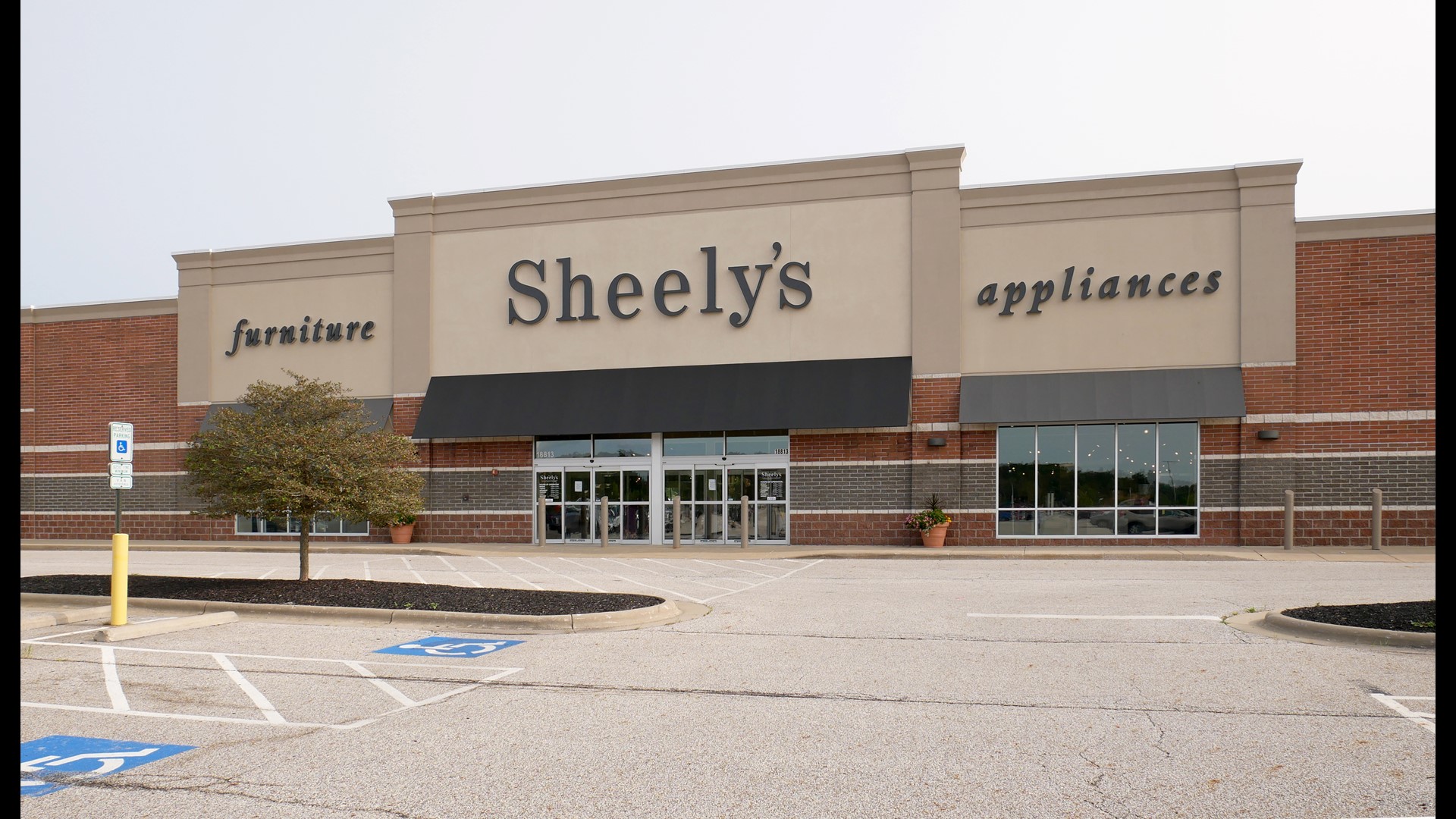 Sheely's expands operations, opens new Aurora location | wkyc.com