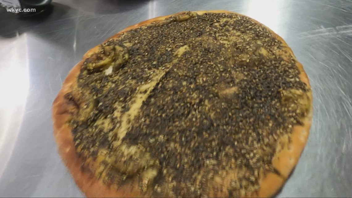 Celebrating Za'atar Day: How you can enjoy the Middle Eastern spread ...