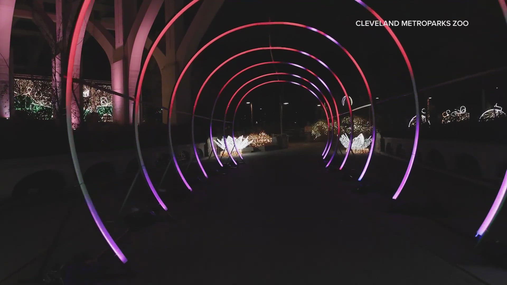 Wild Winter Lights returns to Cleveland Metroparks Zoo for 2024 | wkyc.com