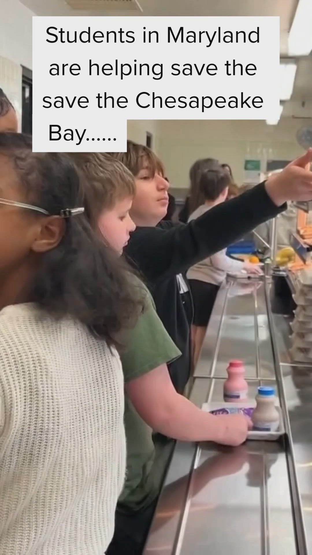 Maryland schools serve 'catty patty' to fight invasive fish | wkyc.com