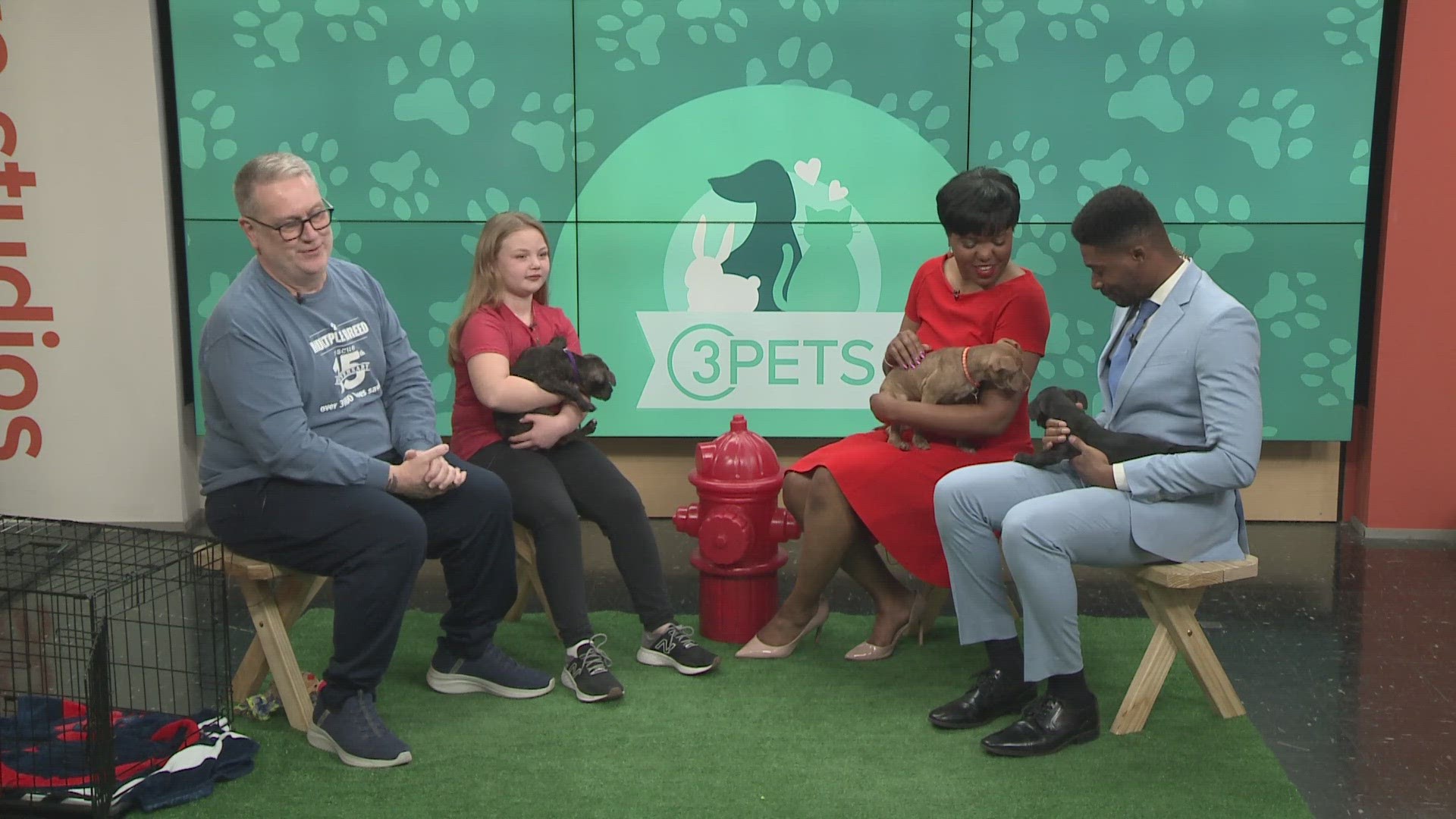 Ready Pet GO! Multiple Breed Rescue visits with puppies! | wkyc.com