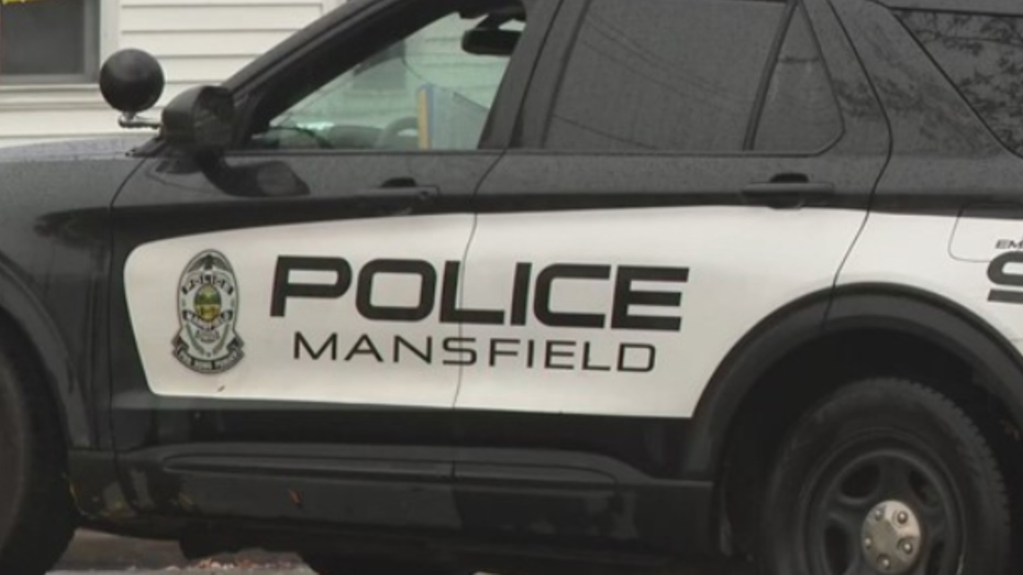 Dr. Christine Alexander-Rager appointed as MetroHealth CEO | wkyc.com