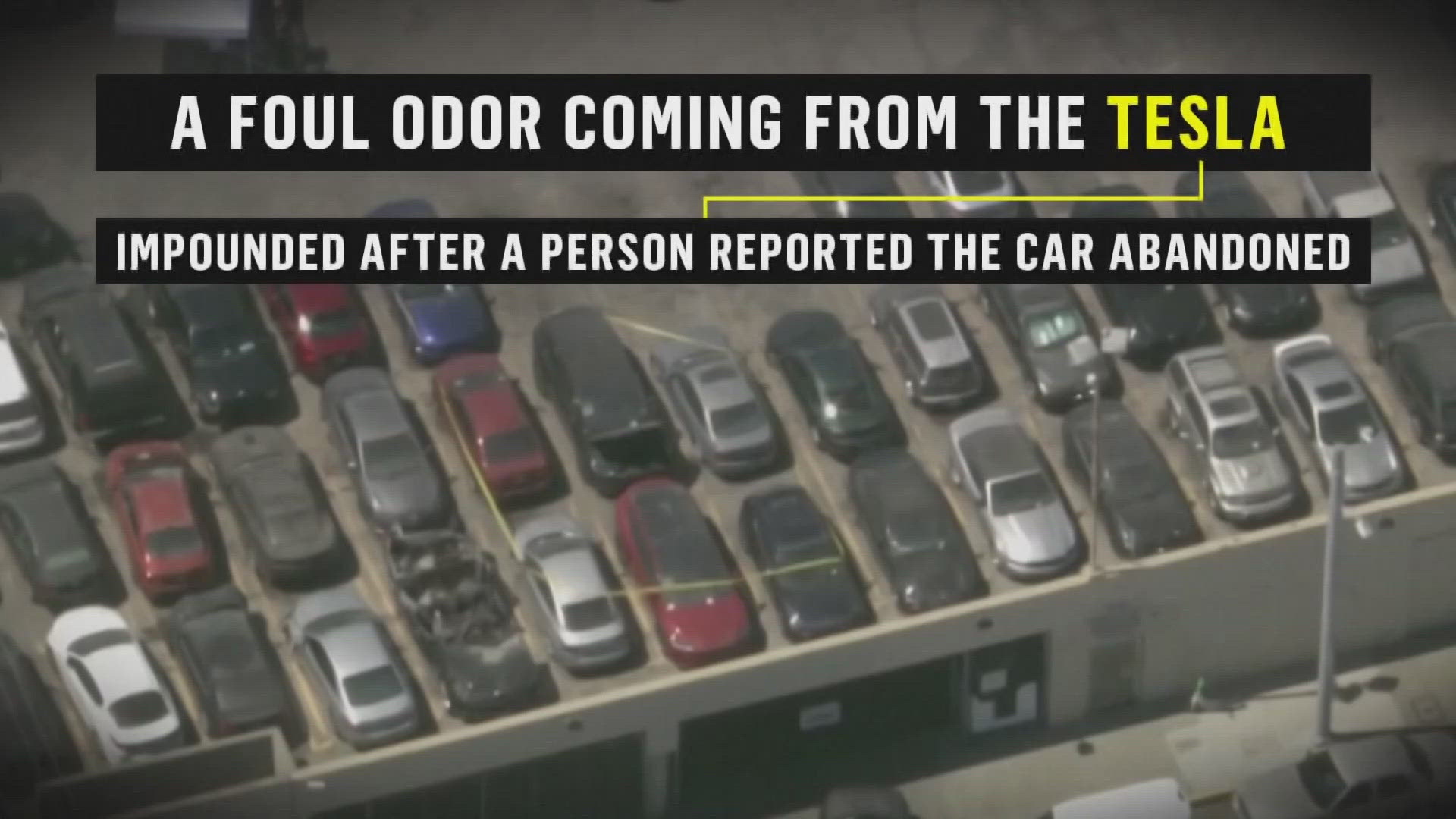 Missing Teen Celeste Rivas IDed as body found in D4vd's Impounded Tesla ...