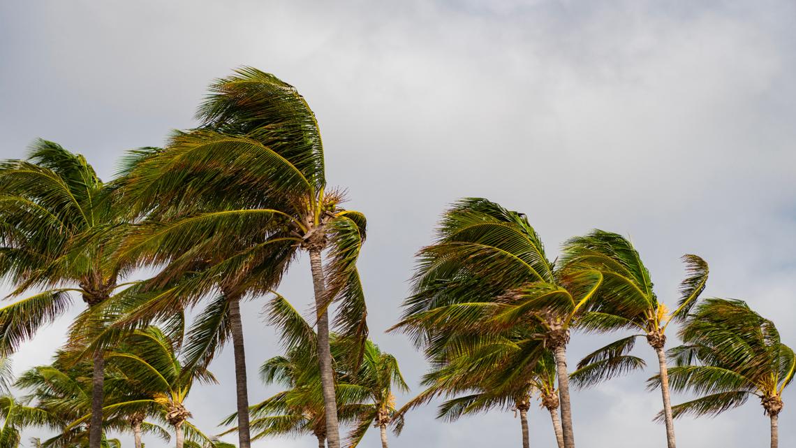 How hurricanes shape Ohio’s fall colors and winter weather despite ...