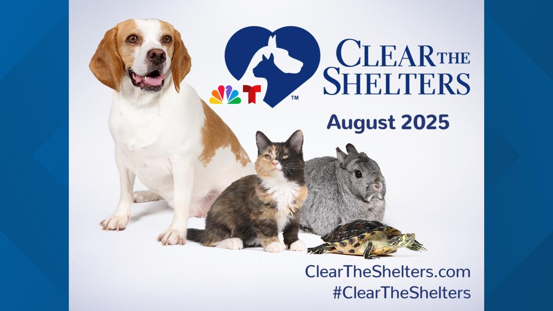 How to adopt a pet in Northeast Ohio during Clear The Shelters? | wkyc.com