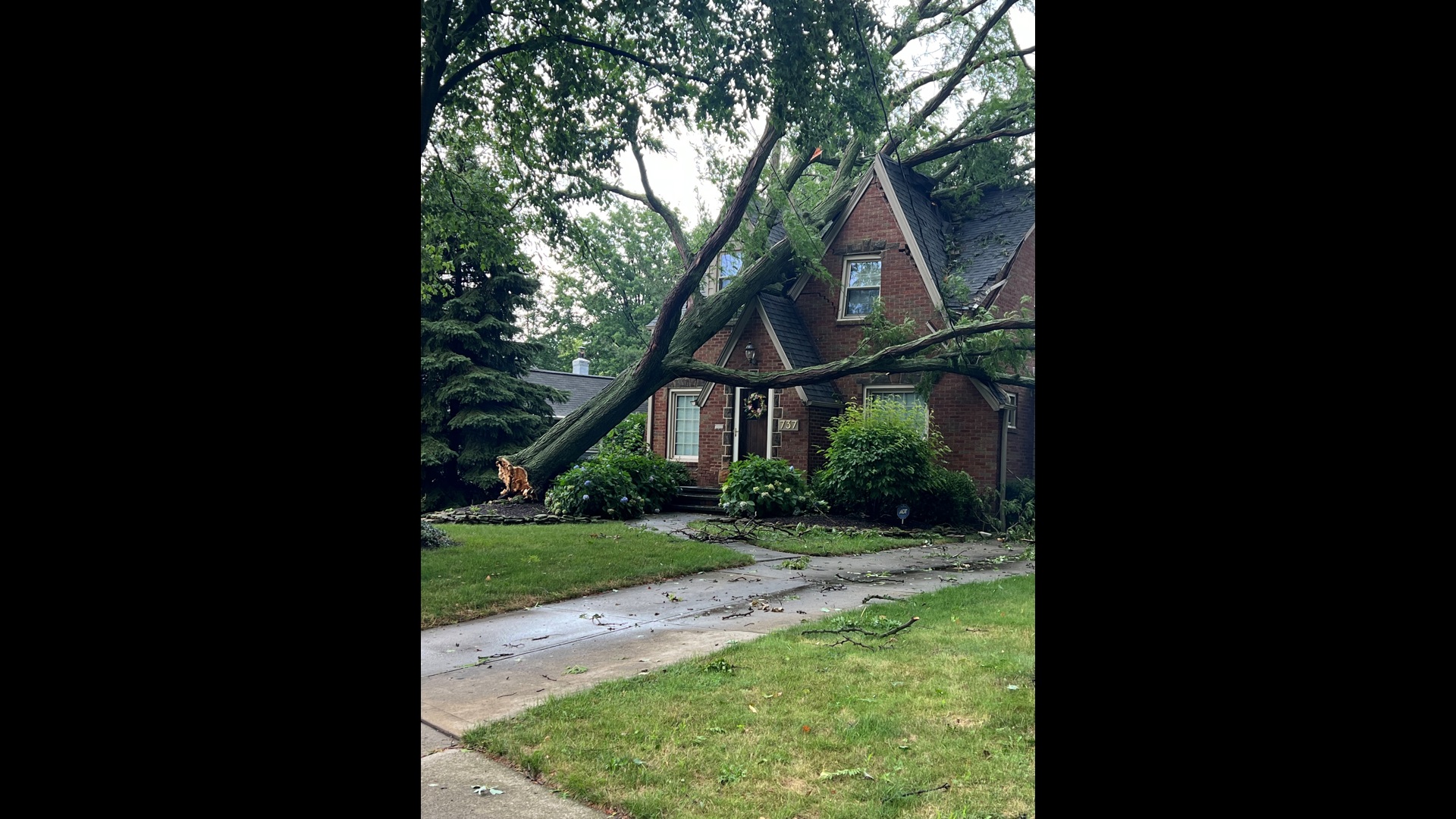 PHOTOS: Severe storm damage in Northeast Ohio | wkyc.com