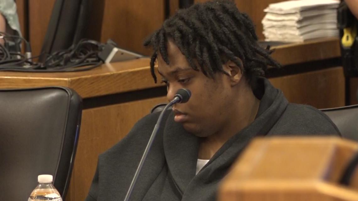 Day 3 of Bionca Ellis trial: Emotional witness testimony in stabbing ...