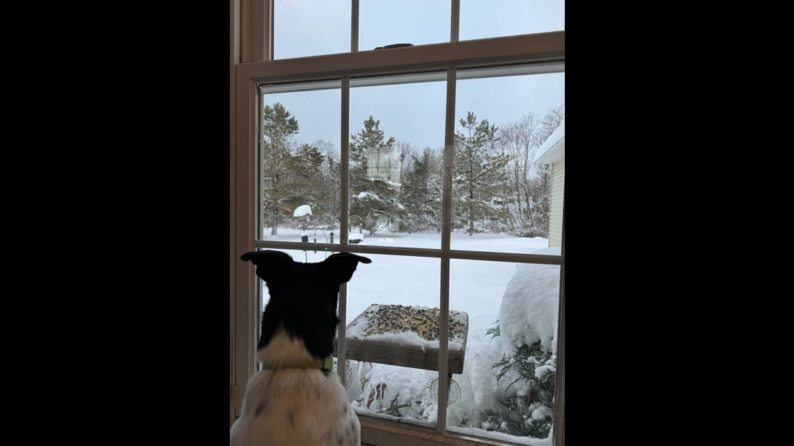 VIEWER PHOTOS | Lake effect snow in Northeast Ohio: November 28, 2023 ...