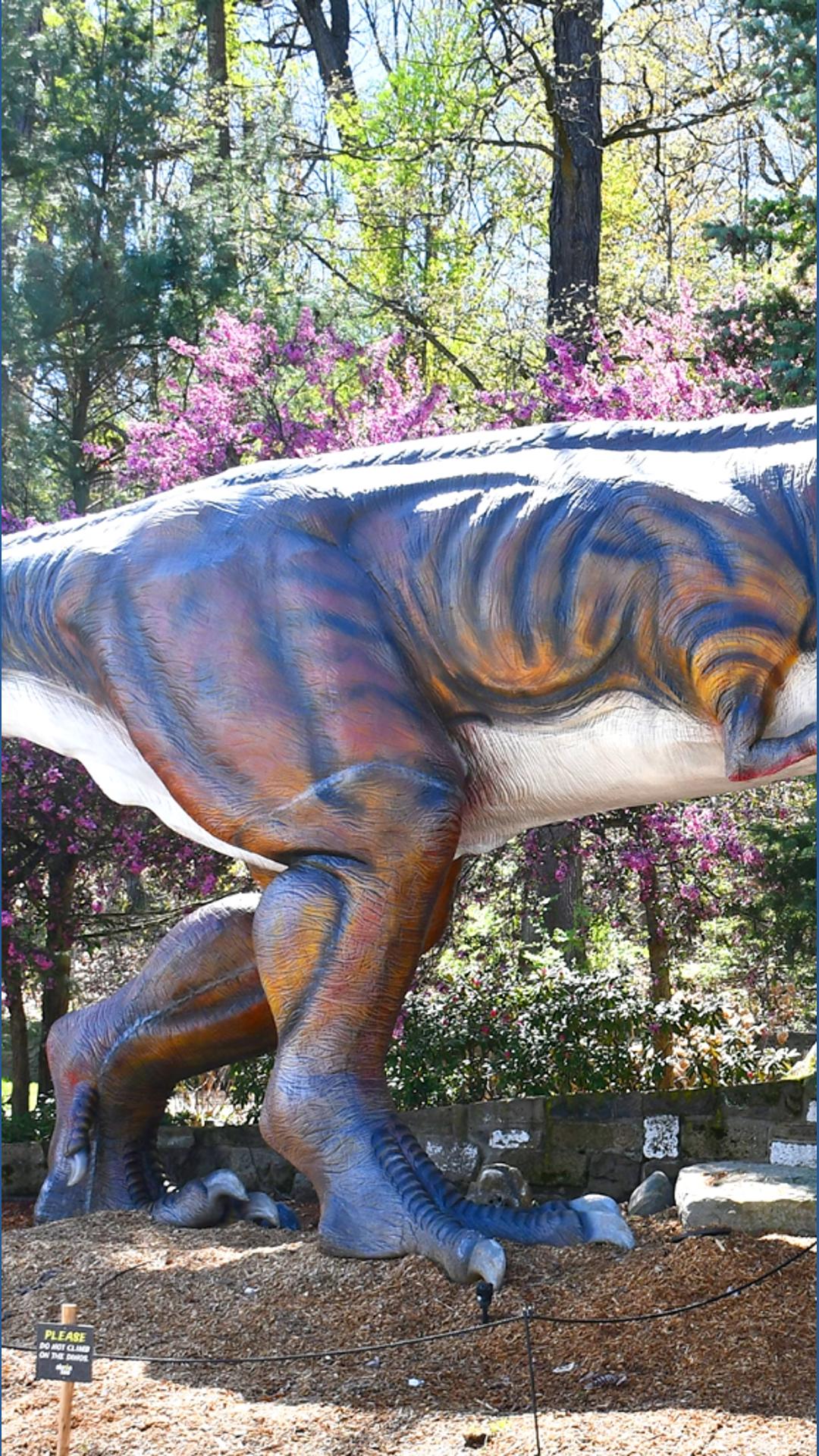 Akron Zoo announces return of DinoTrek for 2026: When you can ...