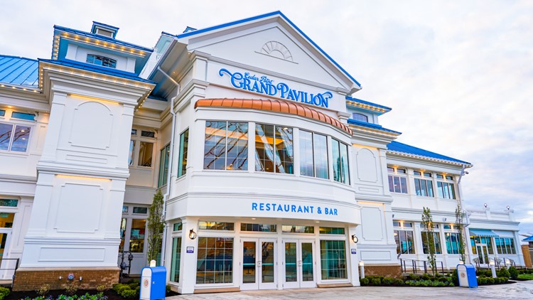 Cedar Point new ride for 2023: Wild Mouse roller coaster video | wkyc.com