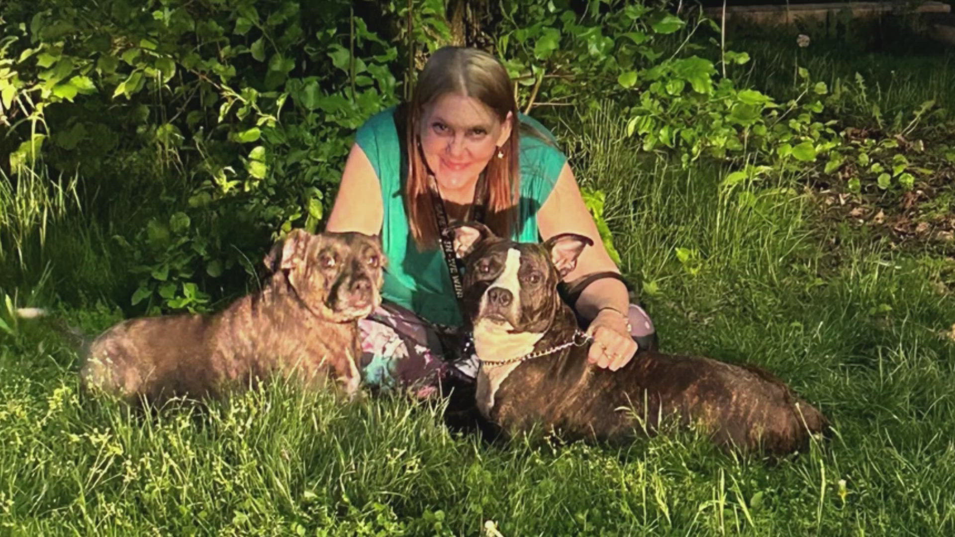 2-legged Ohio dog wins contest to become next Cadbury Bunny | wkyc.com