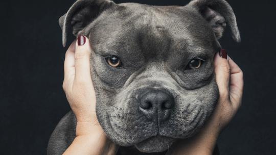 The story of animal photographer Greg Murray in Cleveland | wkyc.com