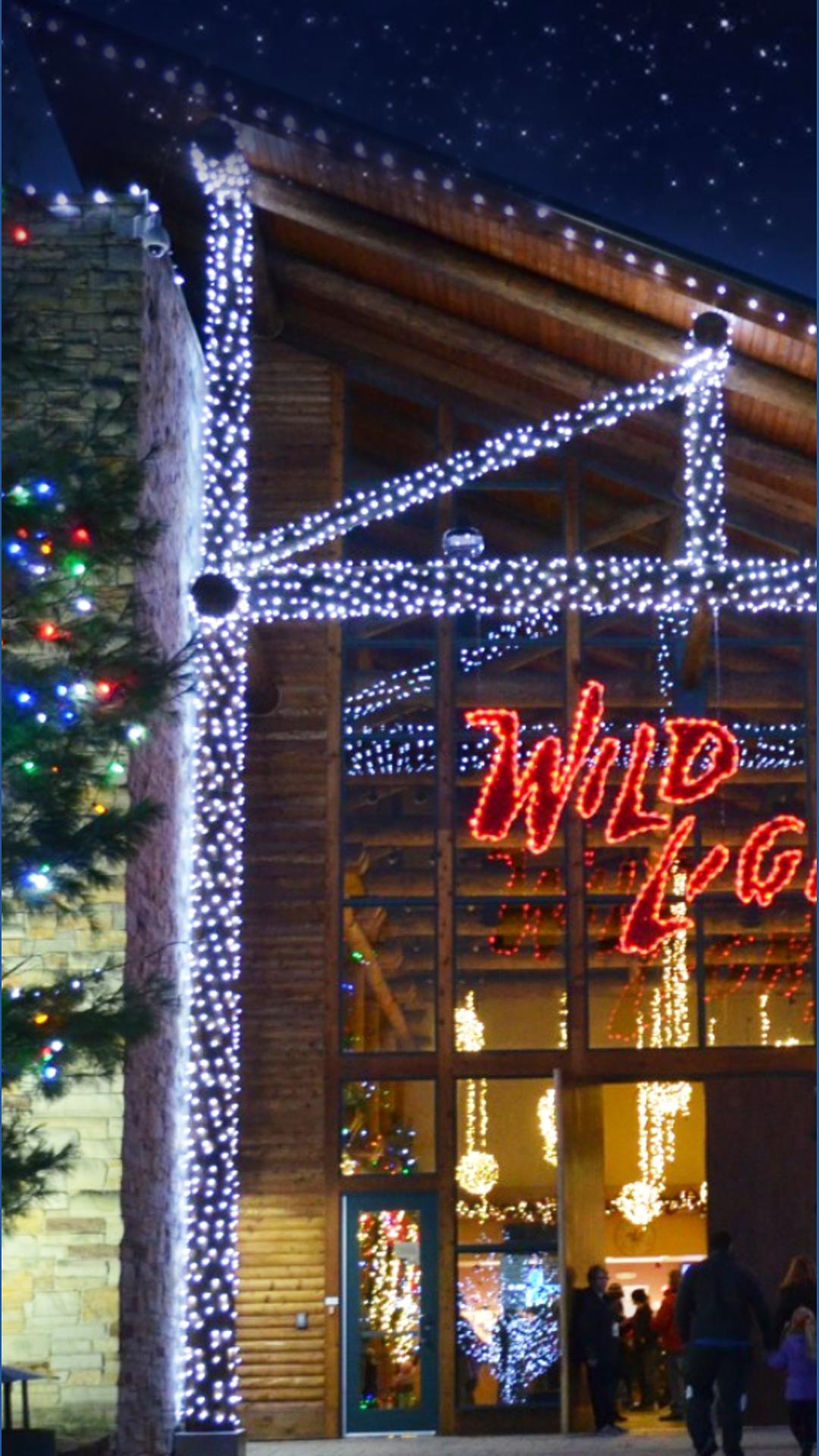 Christmas season at the Akron Zoo: Wild Lights event returning for 10th ...