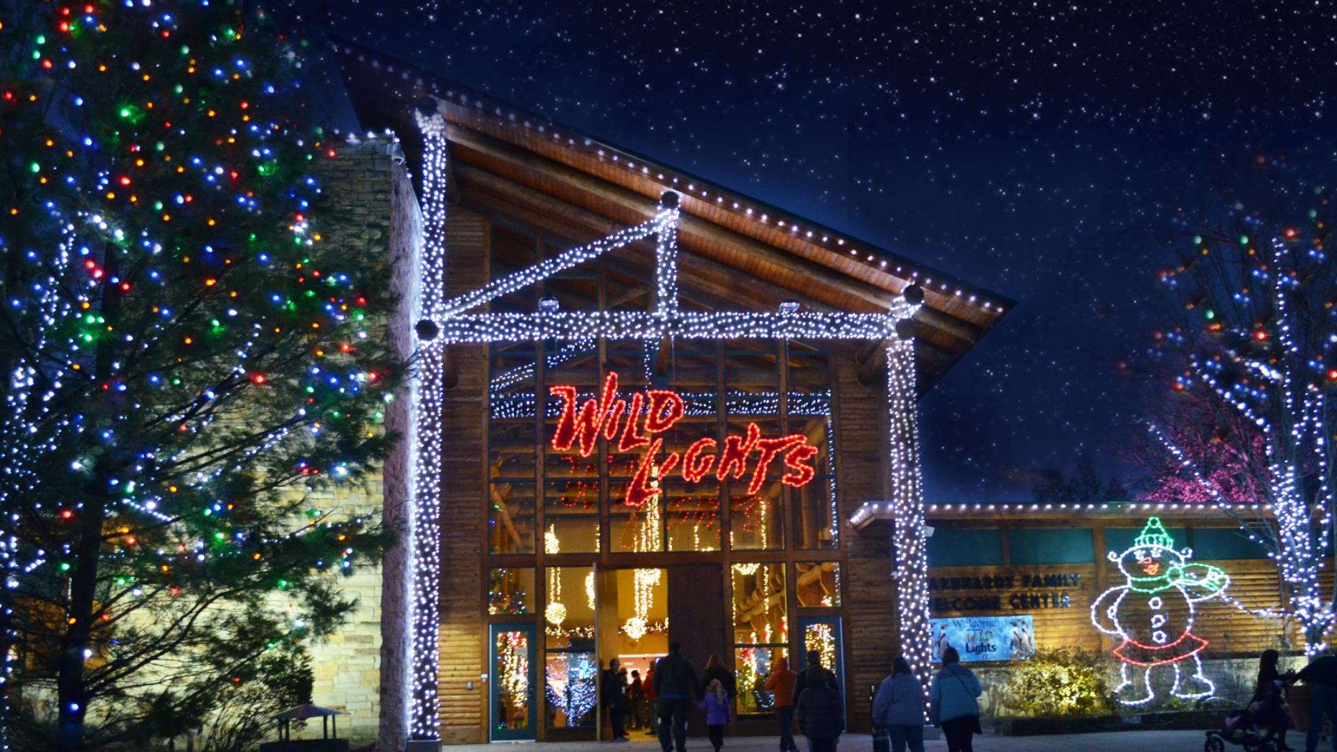 Christmas season at the Akron Zoo: Wild Lights event returning for 10th ...