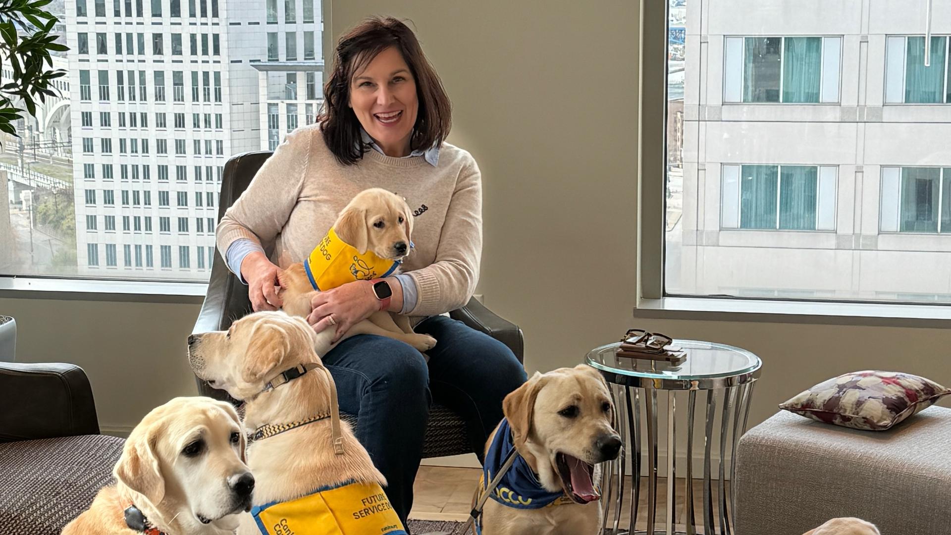 Picasso the puppy arrives in Northeast Ohio with a mission | wkyc.com