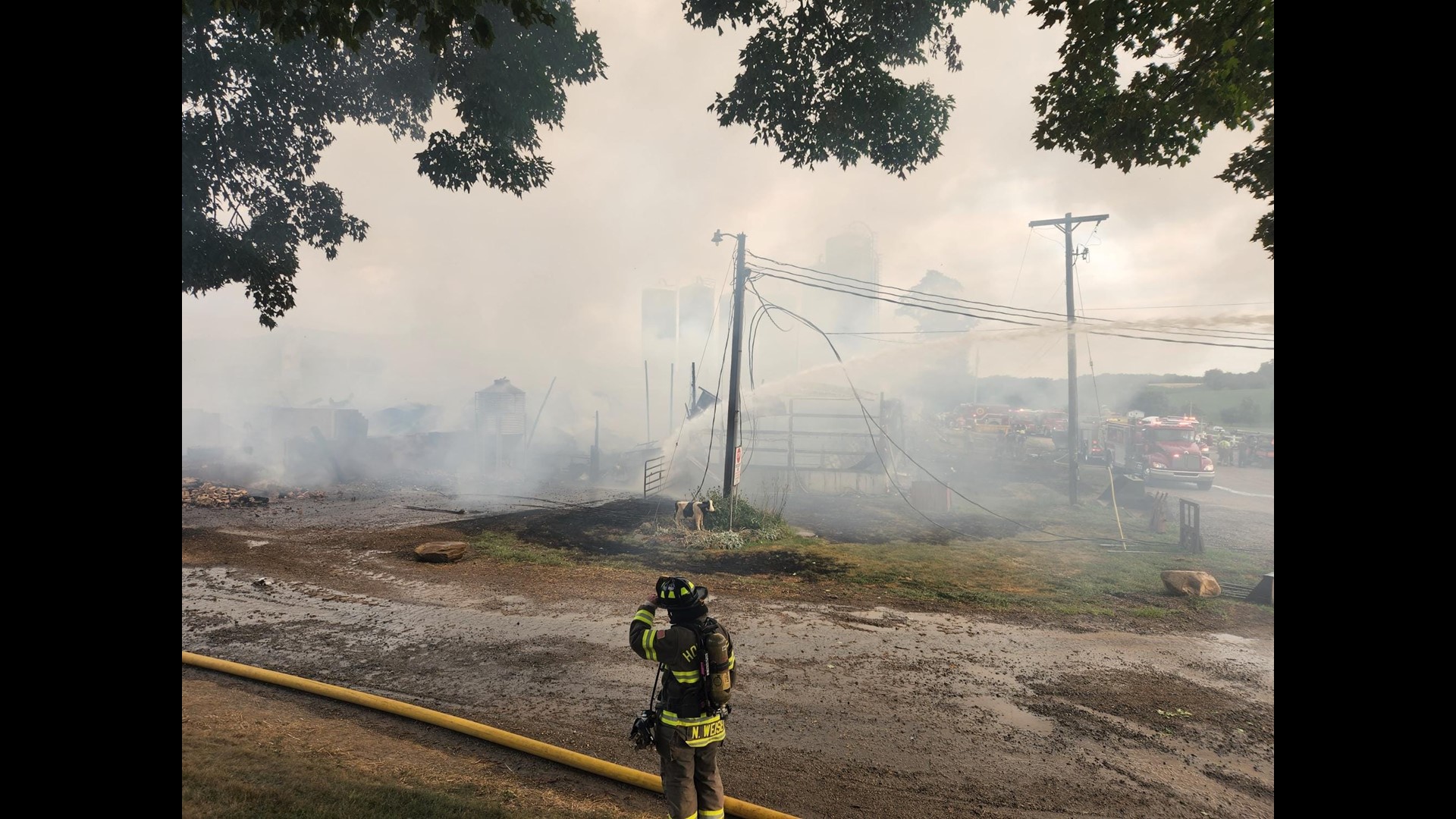 Columbiana County barn fire leaves 60 calves dead | wkyc.com