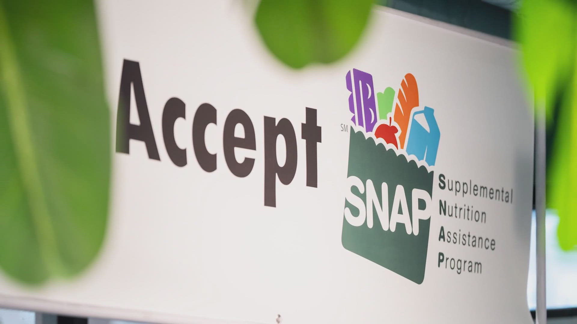 New work requirements for Ohio SNAP benefits go into effect Feb. 1 ...
