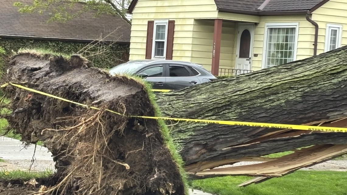 Severe storms in Northeast Ohio leave behind trail of downed trees ...