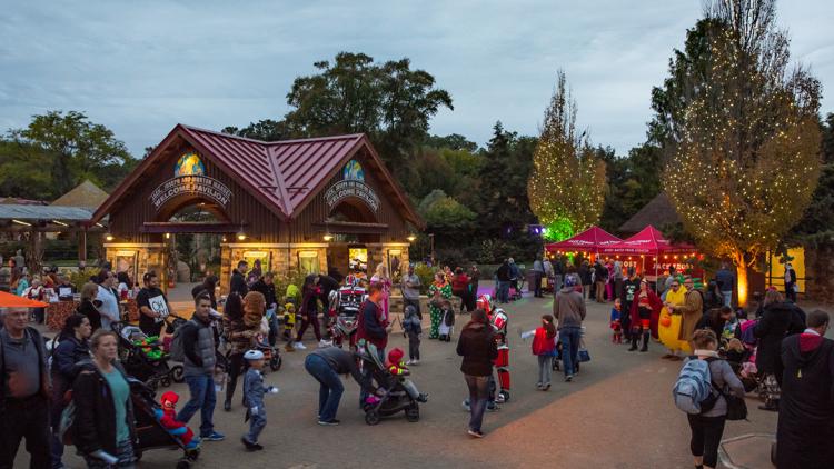 Akron Zoo's 'Boo at the Zoo' returns with major refresh | wkyc.com