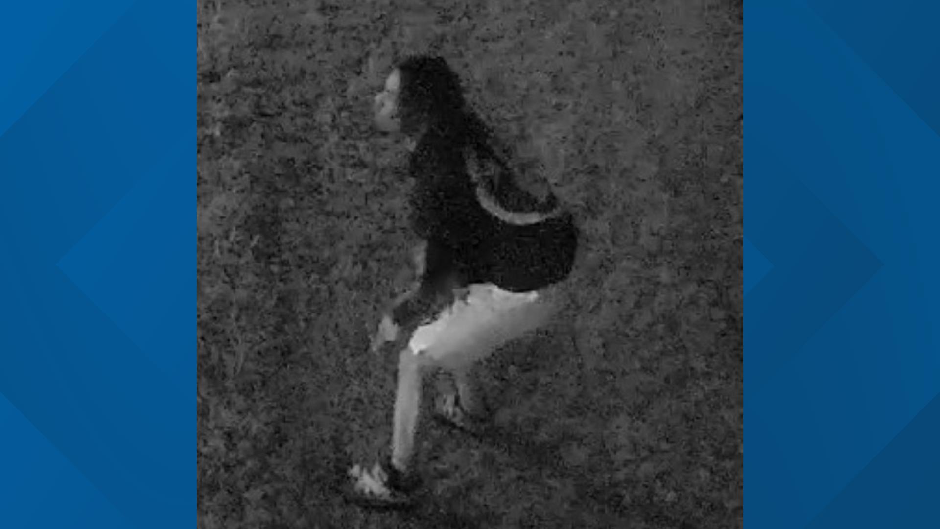 Akron police release photos of persons of interest in July 7 Mason CLC ...