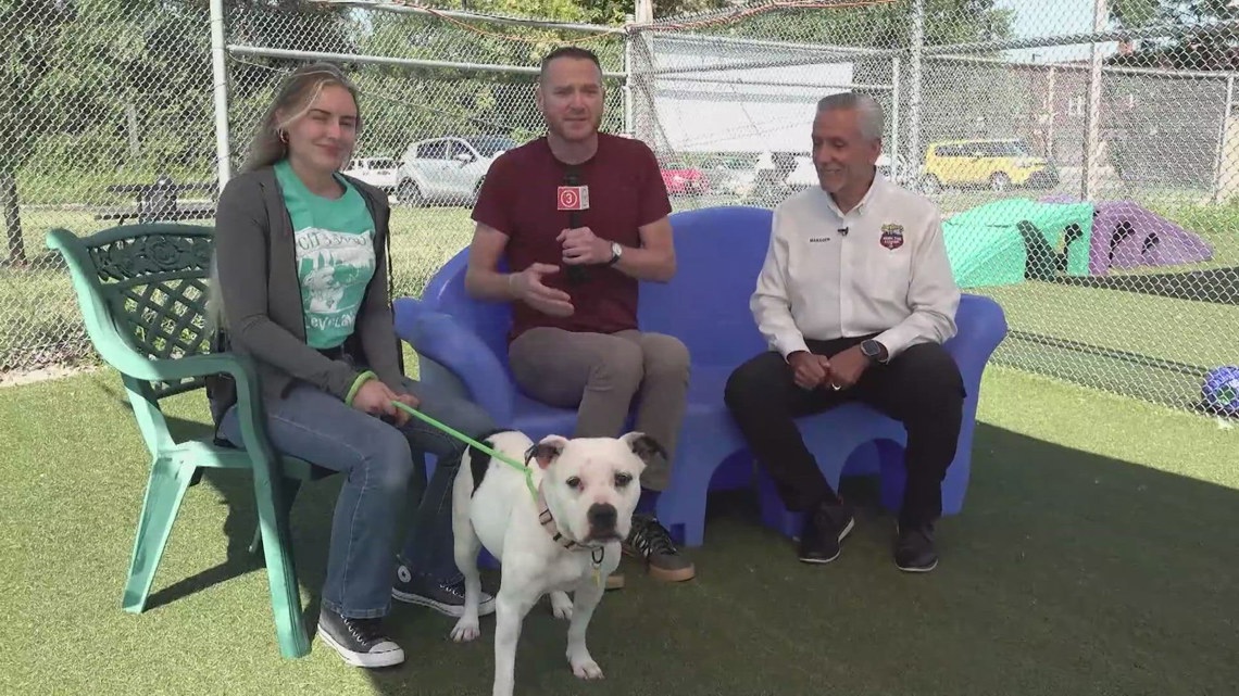 Mike Polk Jr. visits City Dogs for 2025 Clear the Shelters | wkyc.com