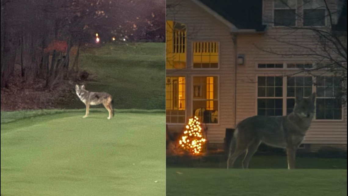 The Cleveland Summer Bucket List: 20 must-do adventures | wkyc.com