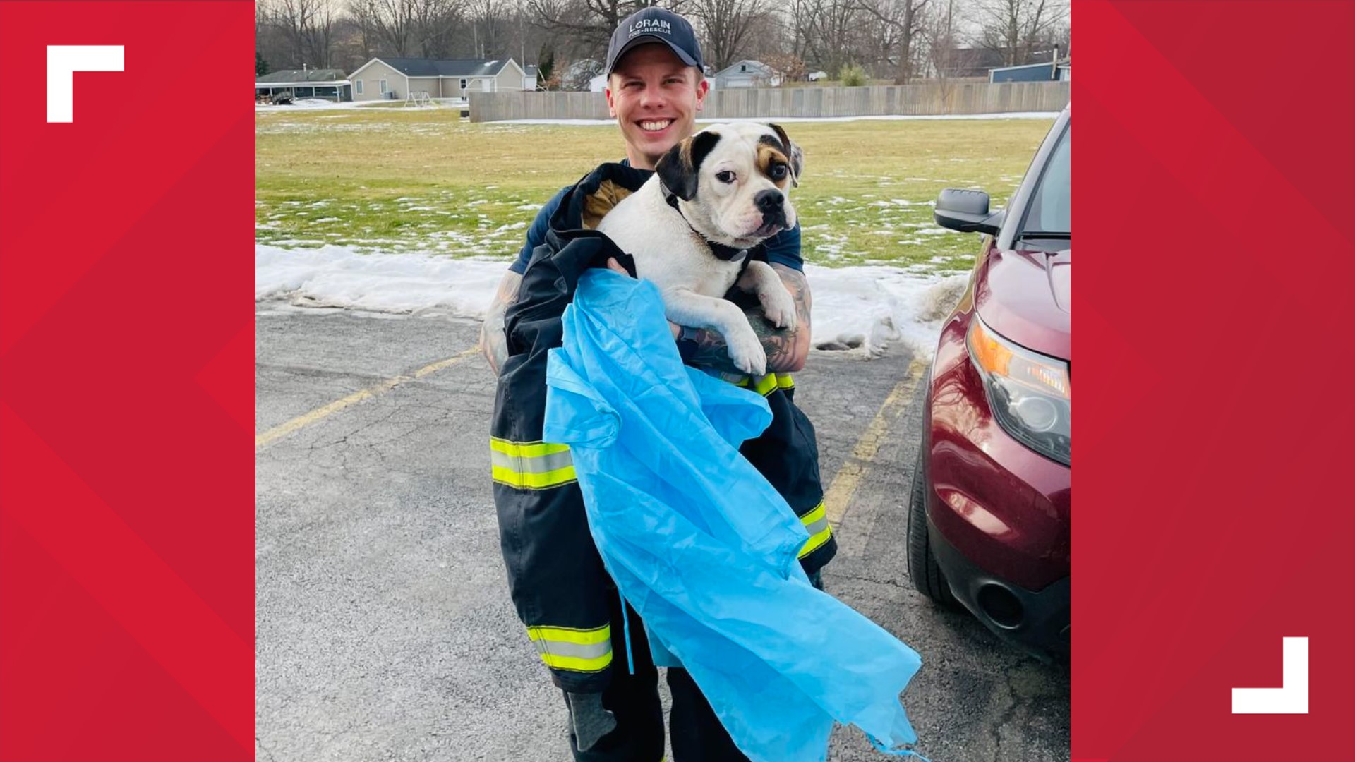 Lorain firefighters rescue dog from Lake Erie | wkyc.com