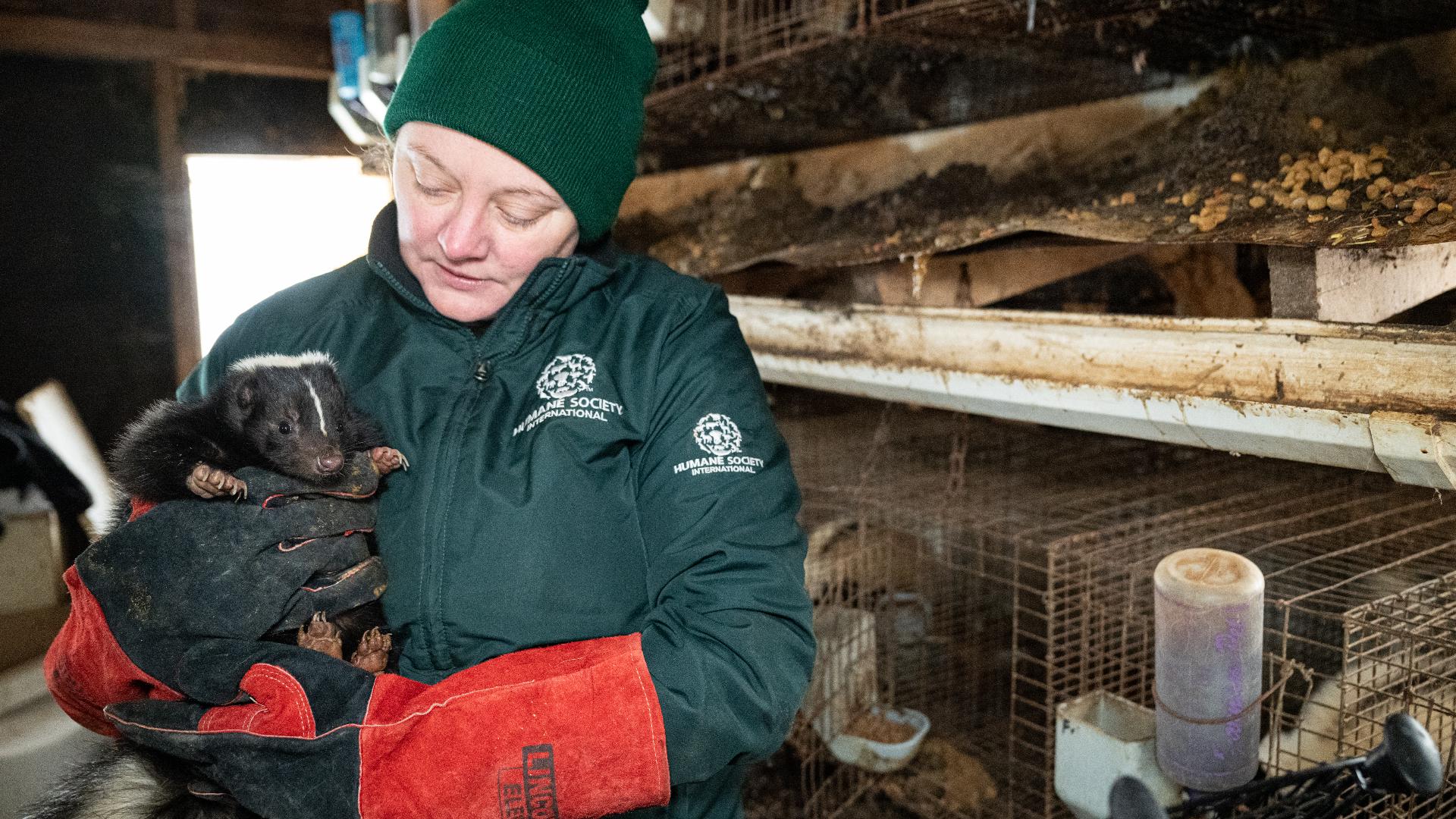Hundreds of animals rescued from Ashtabula County fur and urine farm ...